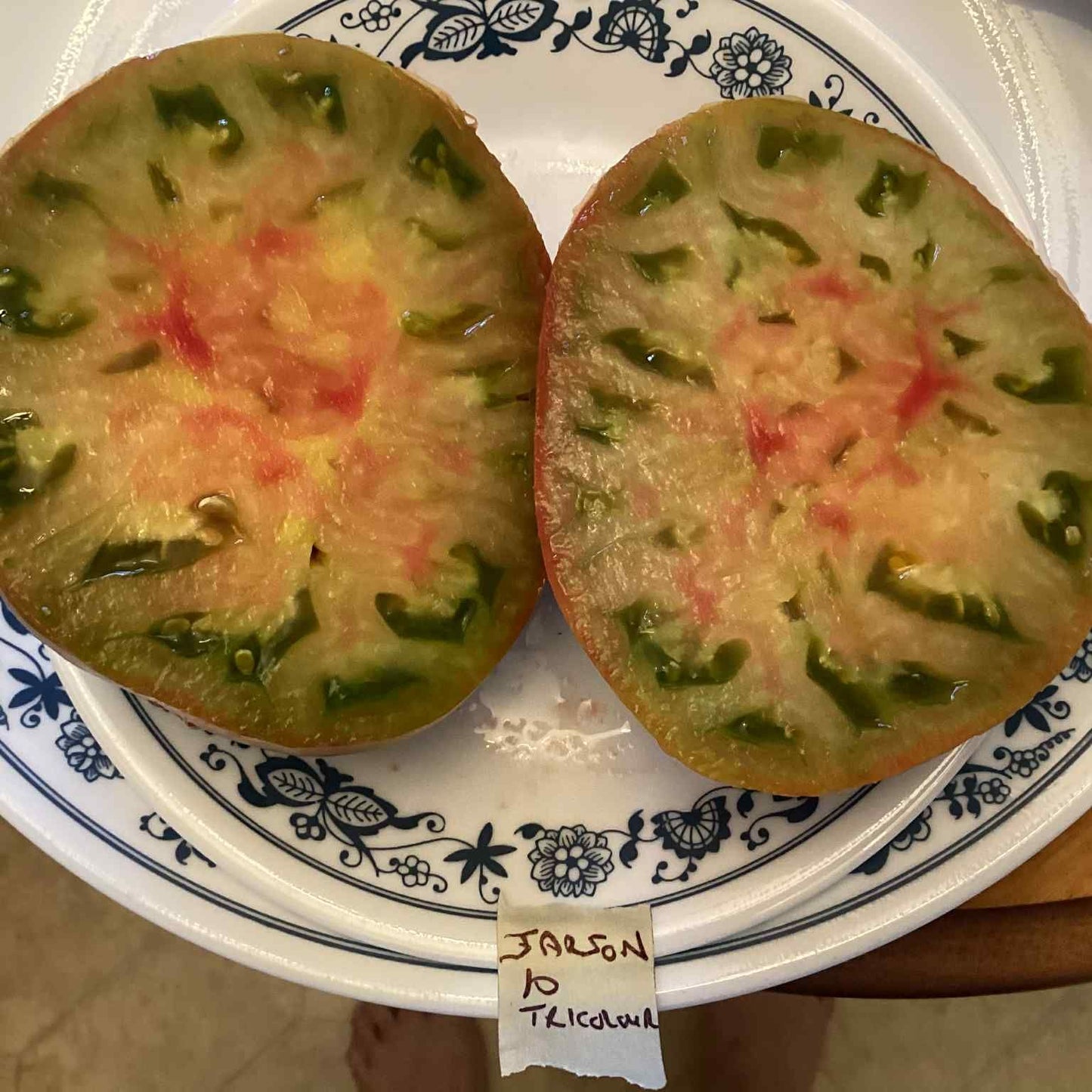 Jarson 10 Tri Color Tomato Seeds – Secret Seed Cartel