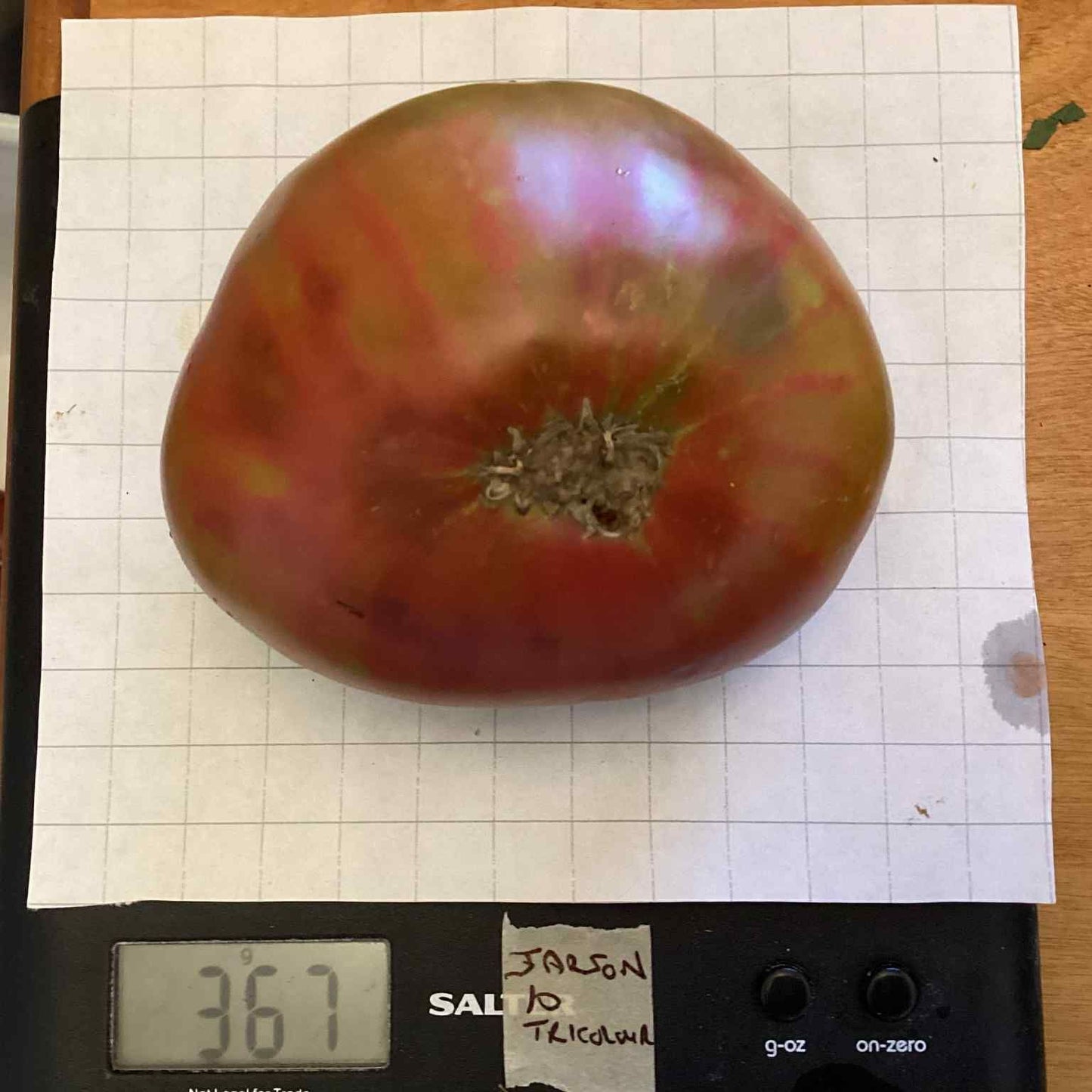 Jarson 10 Tri Color Tomato Seeds – Secret Seed Cartel