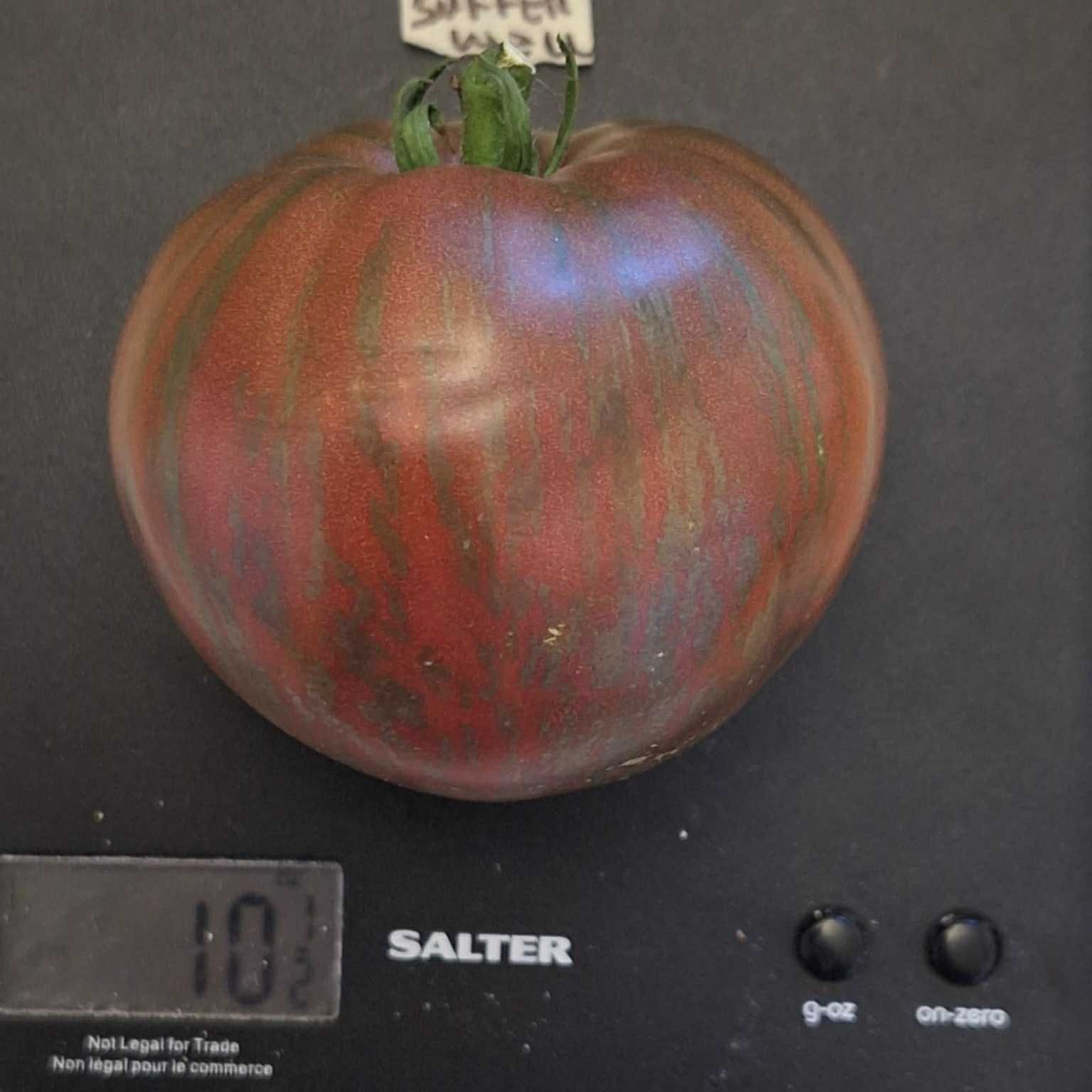 Bill Yoder Collection – Secret Seed Cartel