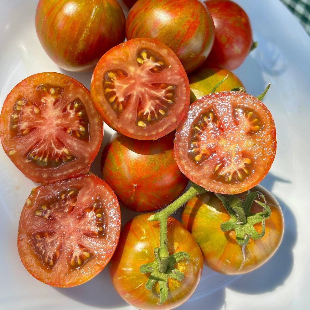 ROUND ROBIN DWARF TOMATO SEEDS – Secret Seed Cartel