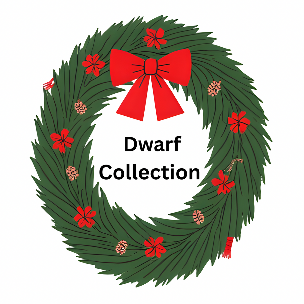 2025 Advent Calendar Dwarf Tomato Collection – Secret Seed Cartel